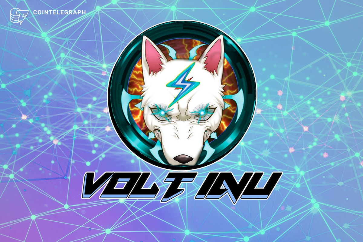 Volt Inu Announces Exciting Developments for Its Project
