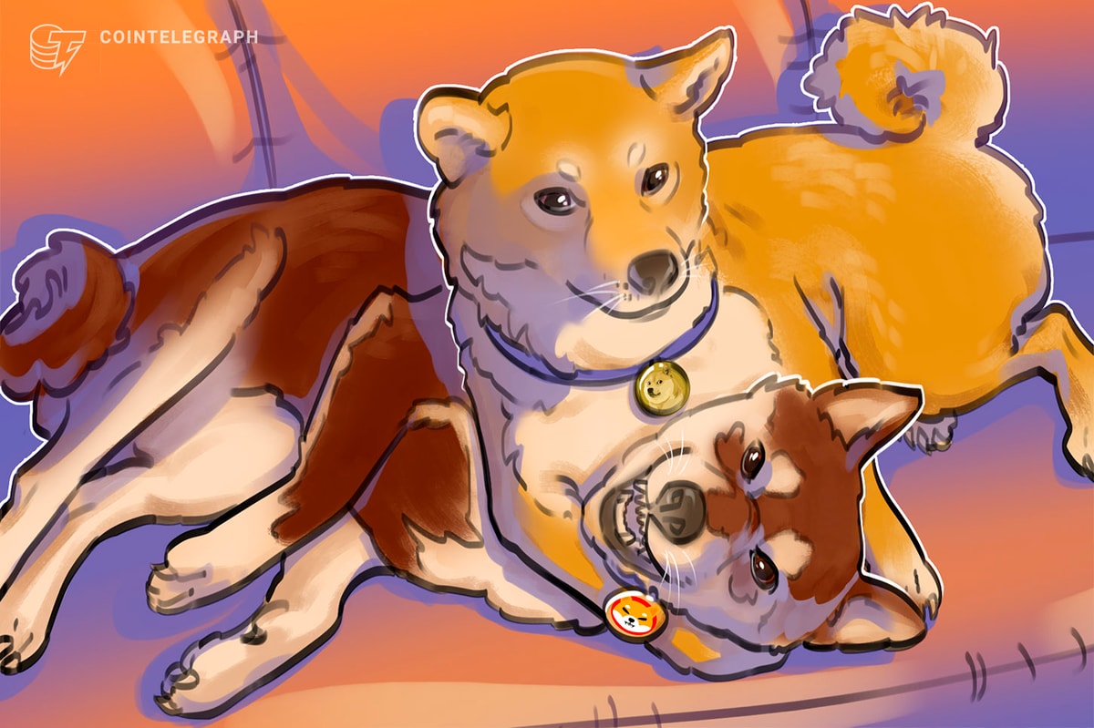 Dogecoin vs. Shiba Inu: What’s the difference?