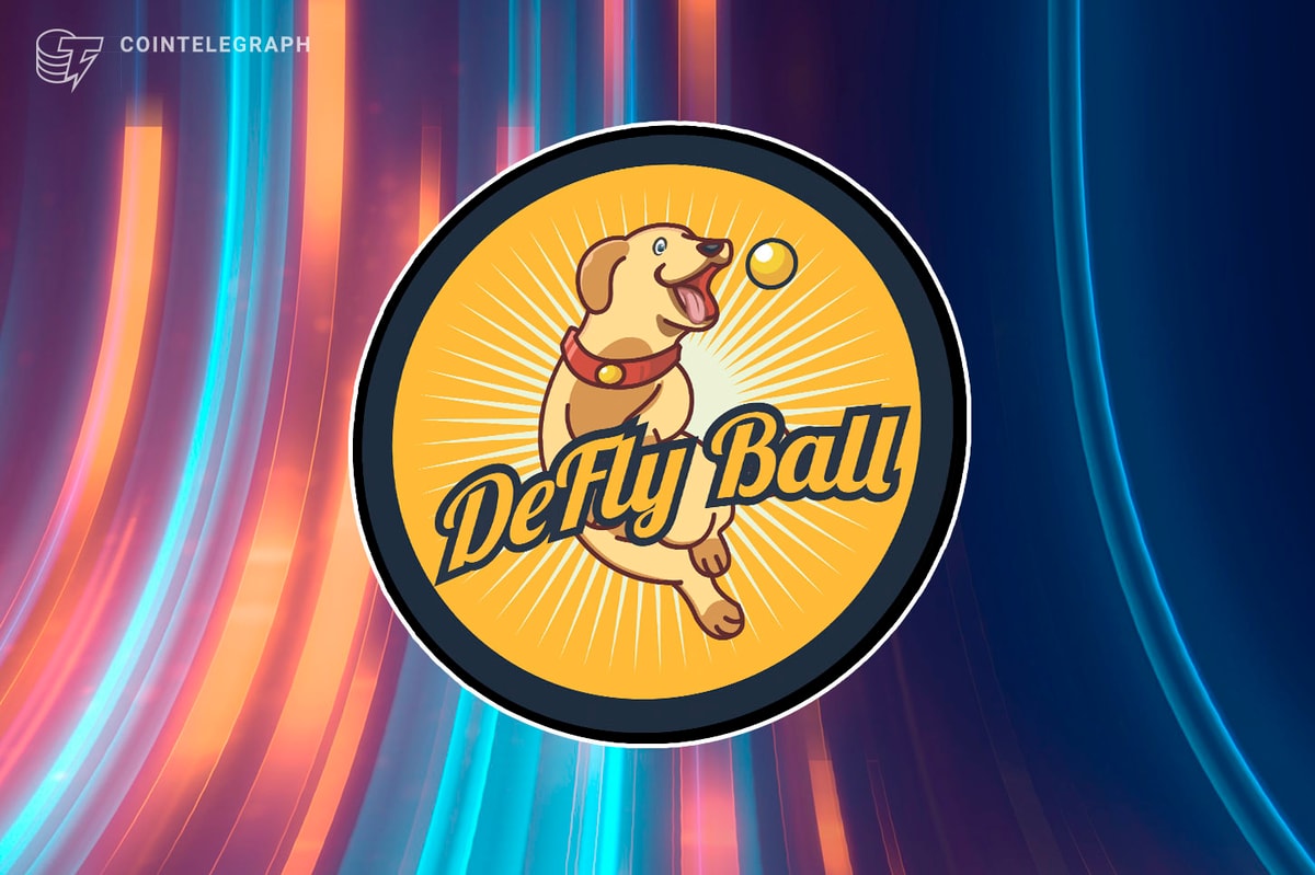 DeFly Ball gets over $1.6M for metaverse Flyball dog-racing game on BSC