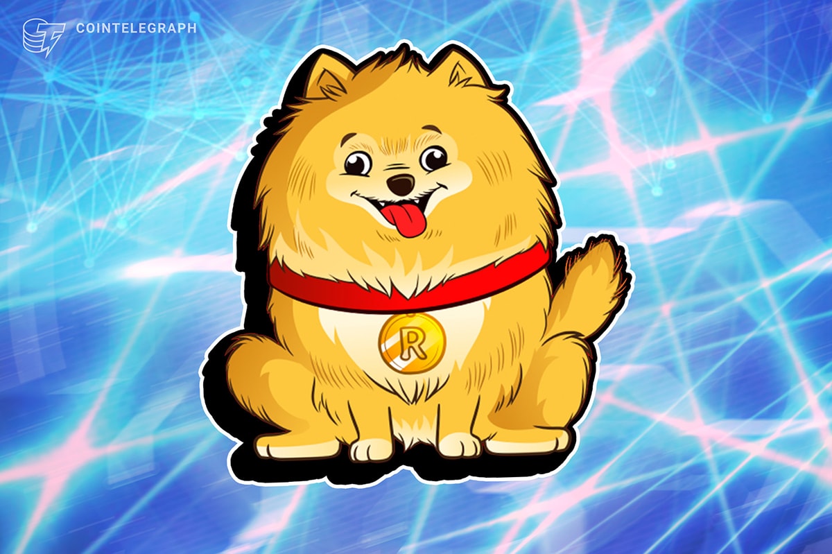 Rocky Inu (ROCKY) officially launches on Binance Smart Chain