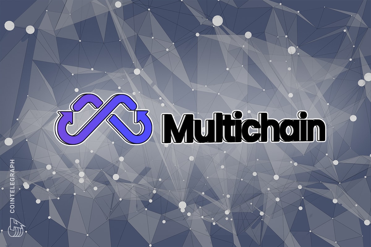 The Multichain security model, mechanism and the platform’s future
