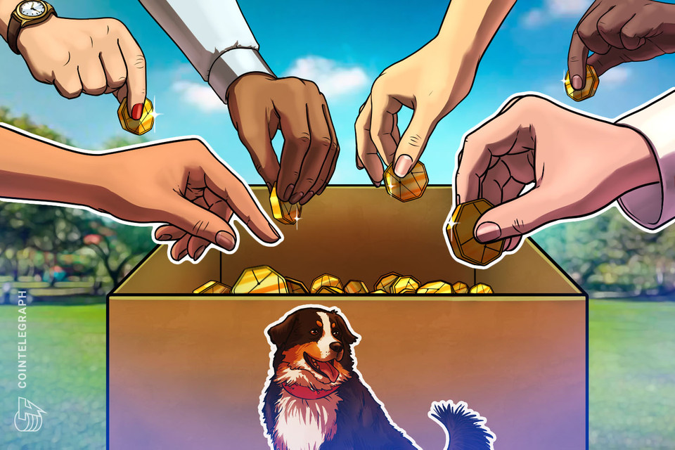 Grumpy Cat meme coin raises $70K for animal shelters